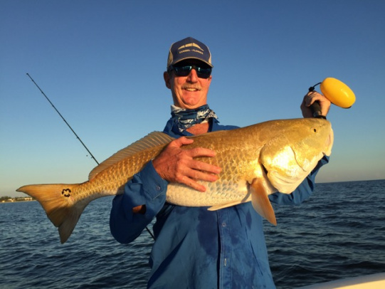 Sanibel Redfish